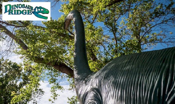 Everything Dinosaur (on the Rocks) Lecture Series