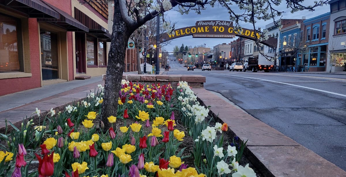 More Glorious Spring Flowers