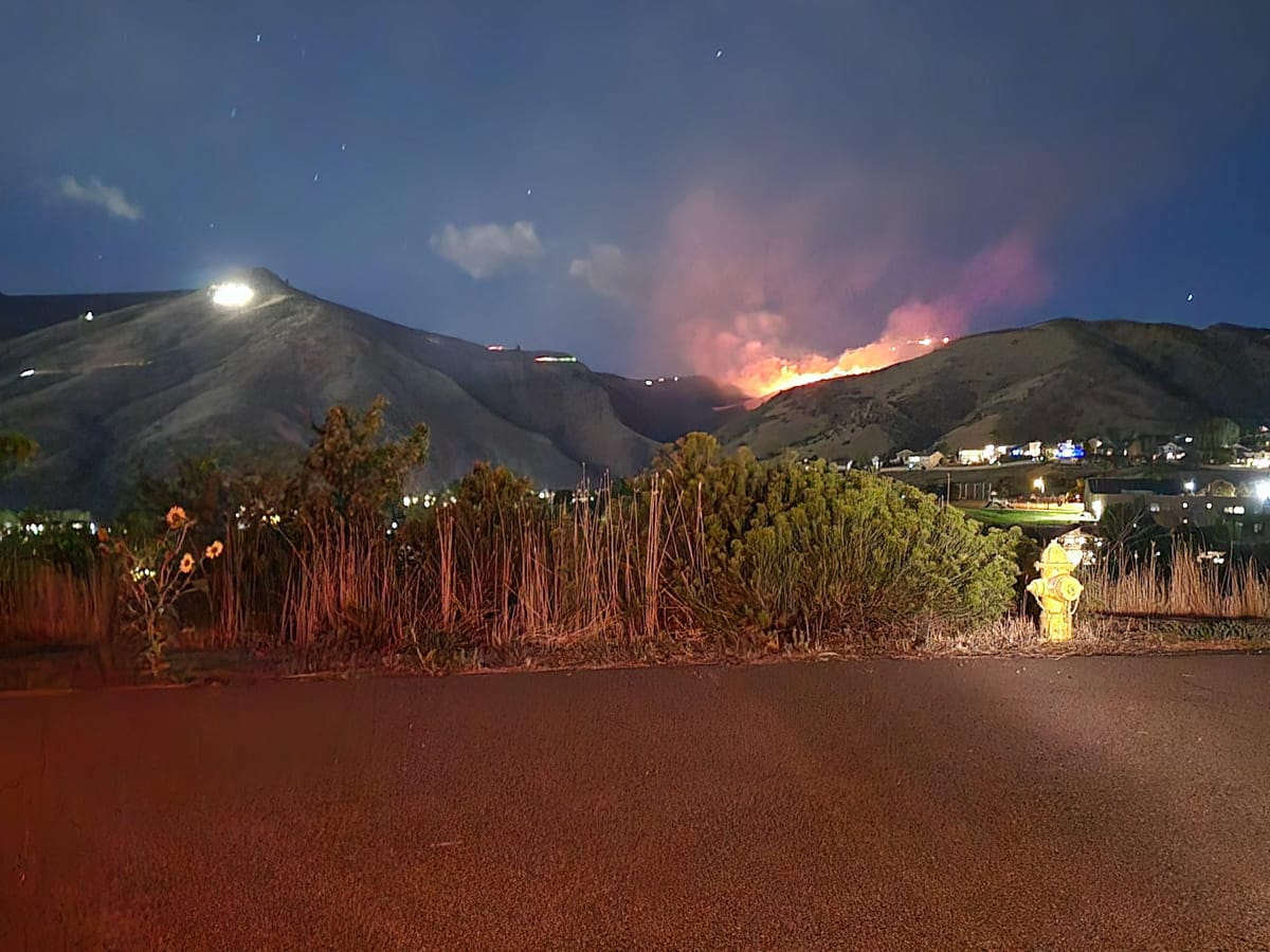 Spring Brings Renewal After the Goltra Fire