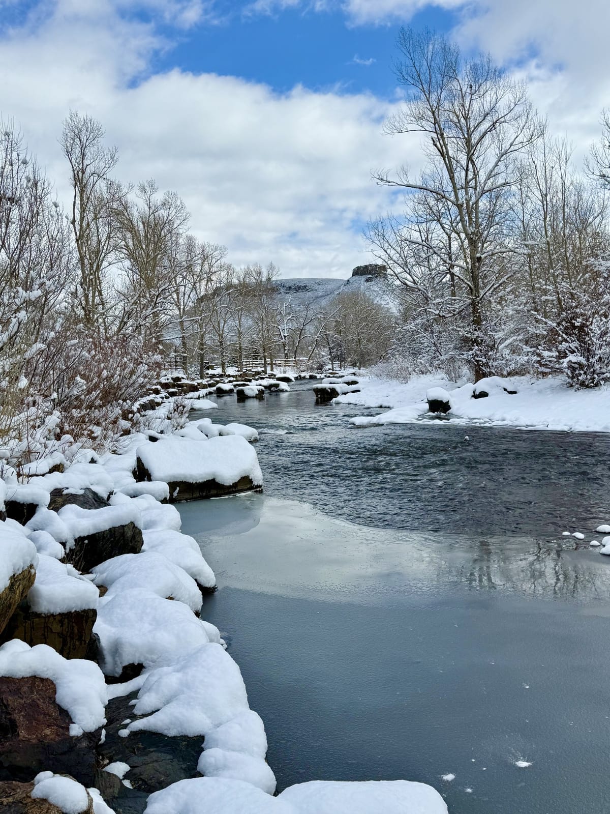 A Classic January Day (in case you forgot how they looked)